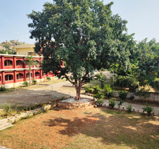 Vivekananda Kendra Vidyalaya, Rishabhdev